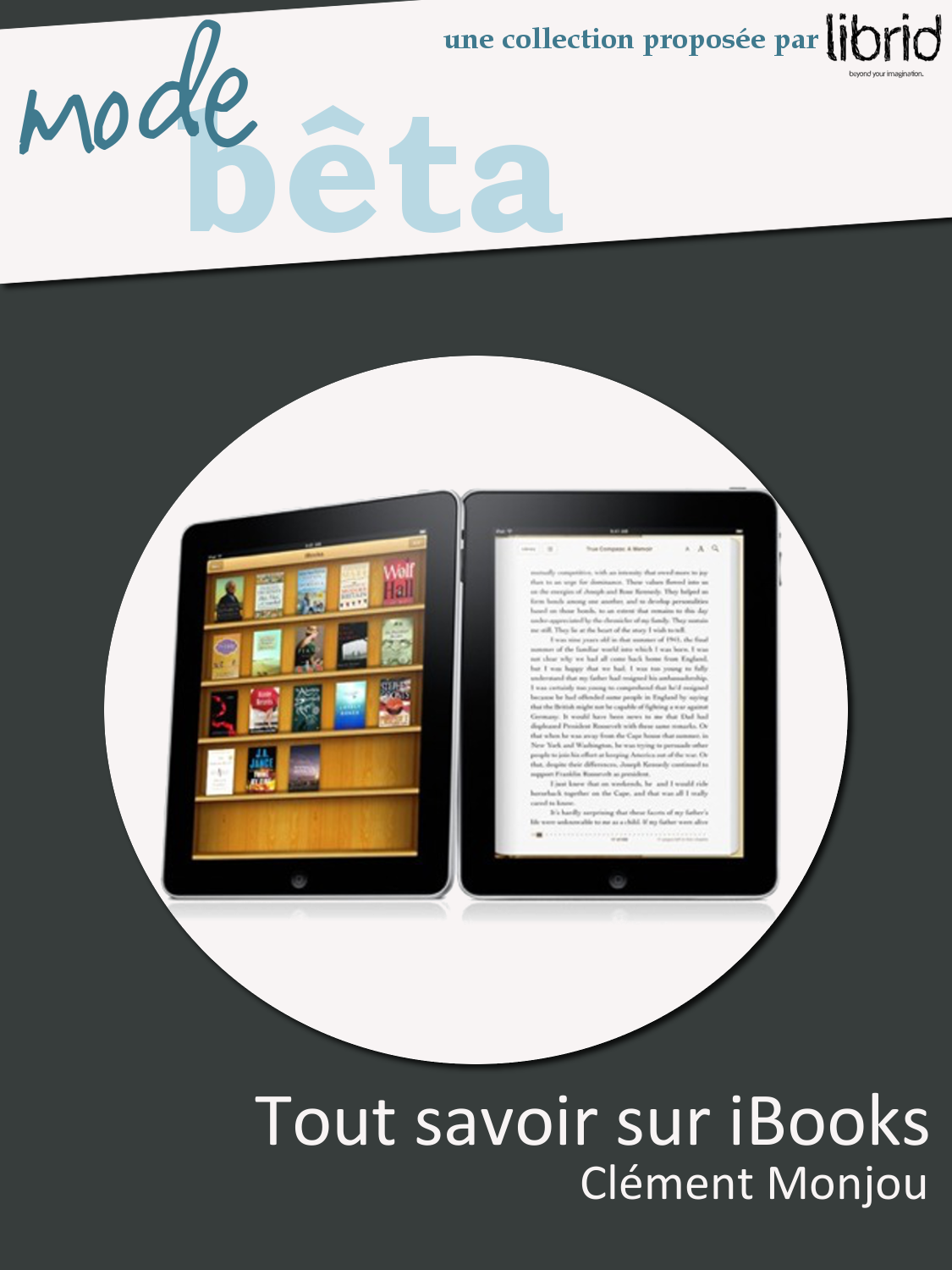 Ebook Tout savoir sur iBooks - Edition iPad - Le manuel indispensable ...